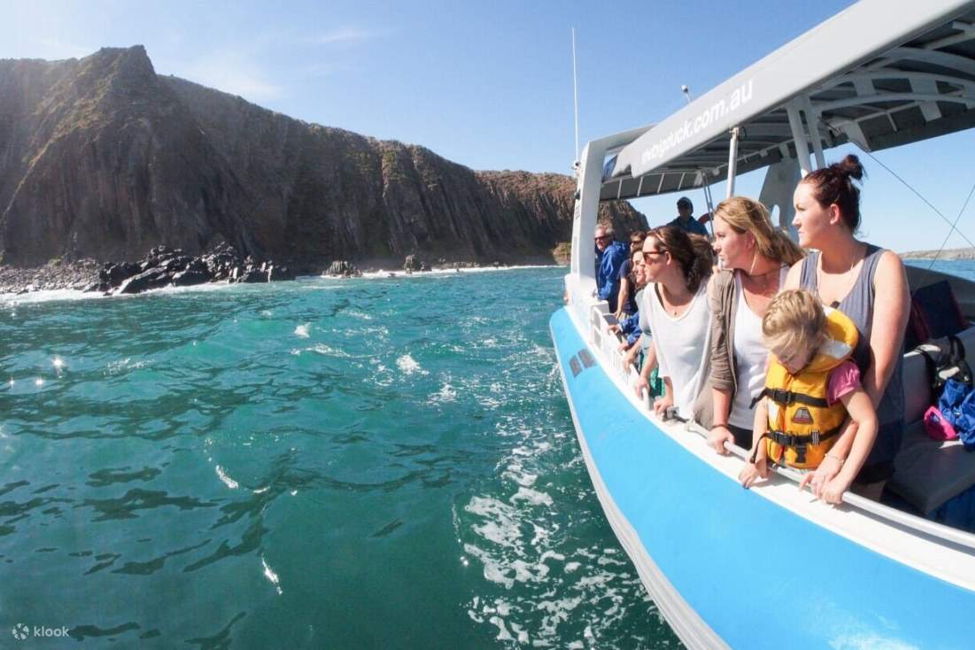 Seal Island Boat Tour dari Victor Harbor - Klook Indonesia