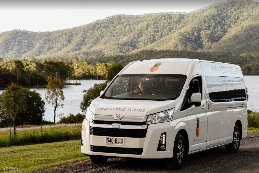 Tur Eco Safari 3 Jam dari Gold Coast - Klook Indonesia