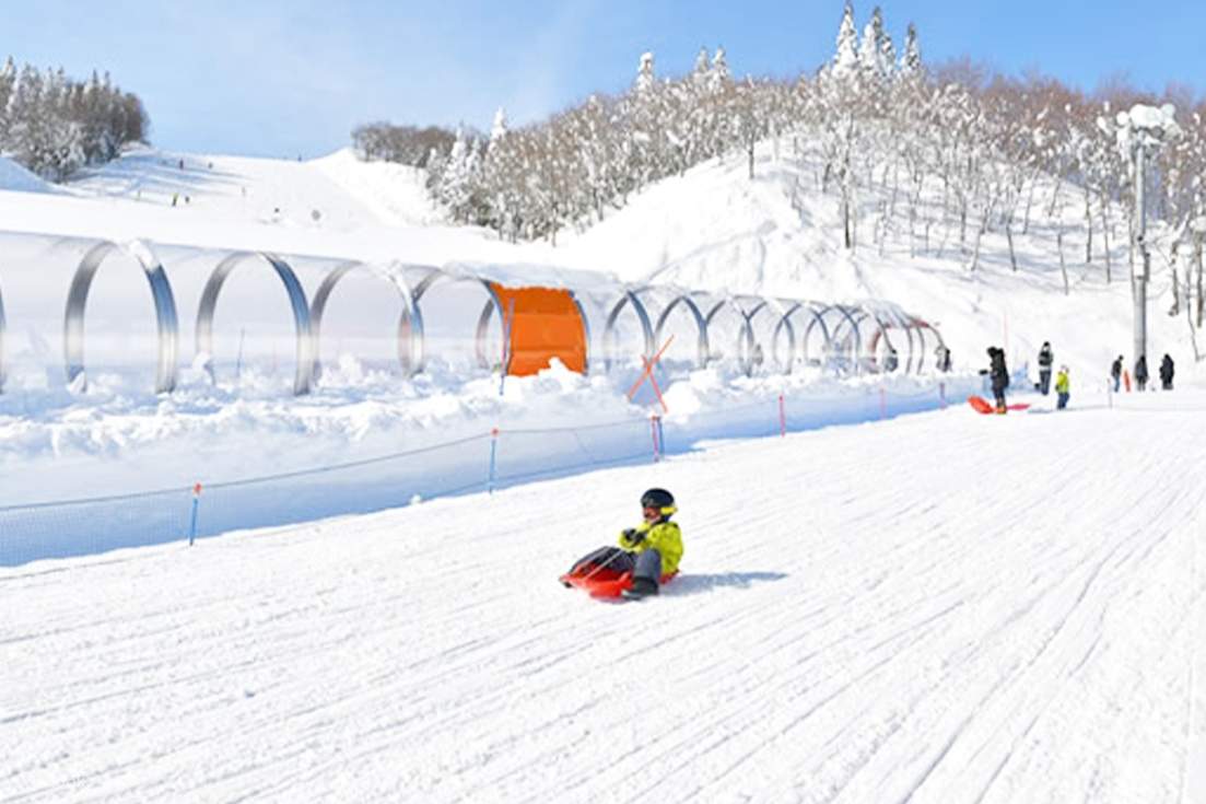 Fujiyama Snow Resort Yeti & Hot Spring One Day Tour from Tokyo - Klook ...