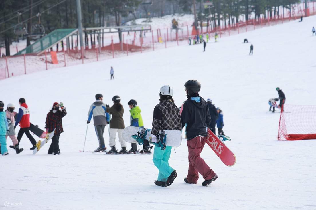 Jisan Forest Ski Resort Private Tour - Klook United States