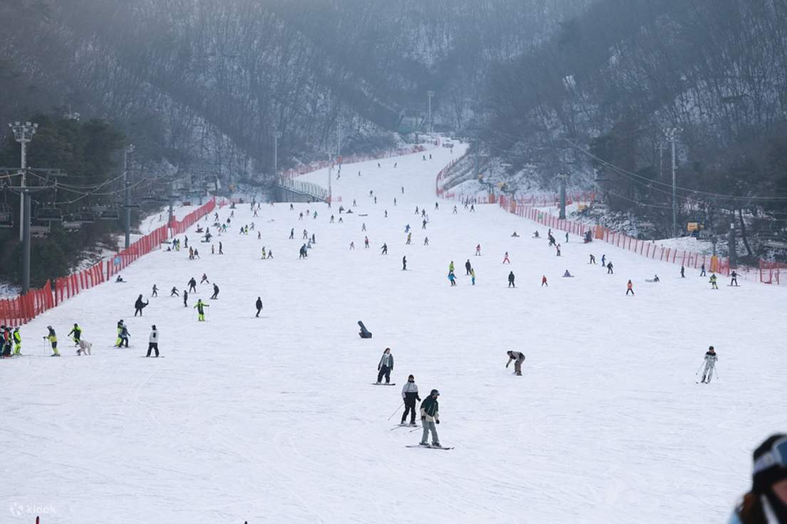 Jisan Forest Ski Resort Private Tour - Klook United States
