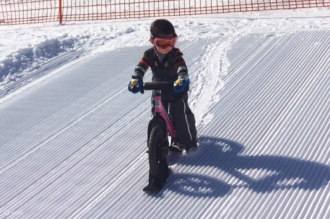 Katashina Plateau Snow Play & Natural Hot Spring/Strawberry Picking ...