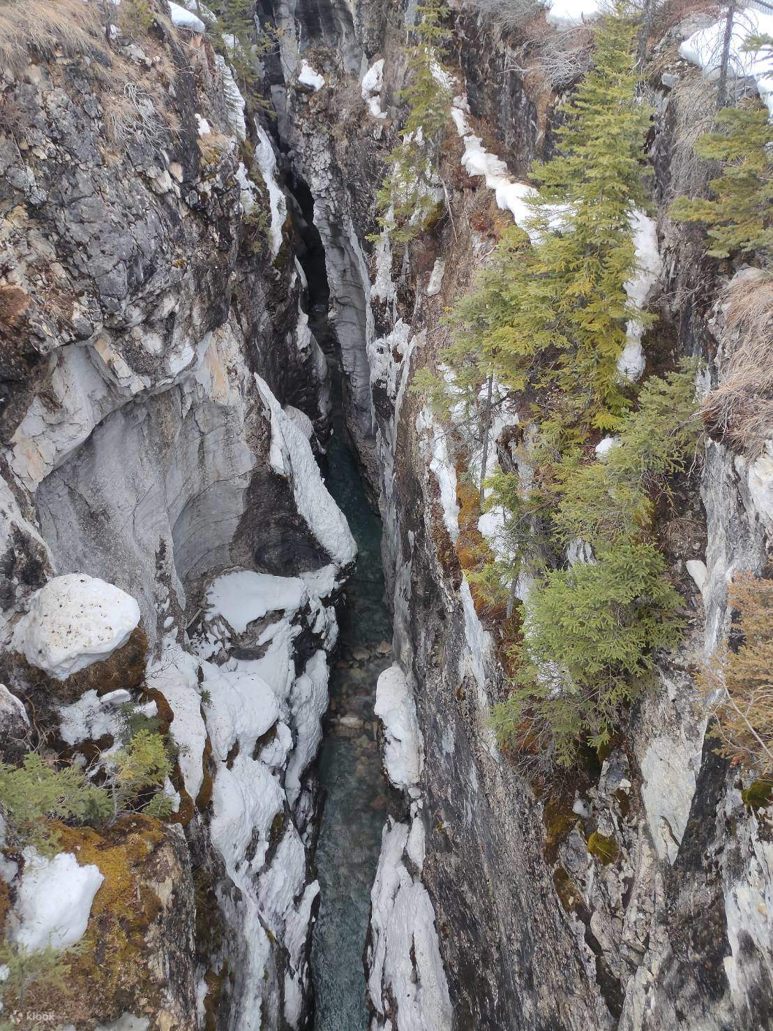 Winter Tour Banff Town, Johnston Canyon and Marble Canyon Icewalk - Klook