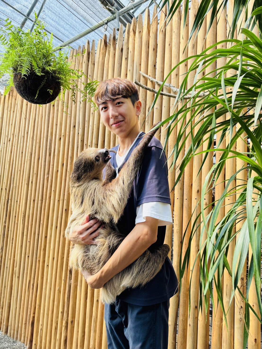 Zhang Mei Ama's Farm Yilan Capybara Ticket - Klook