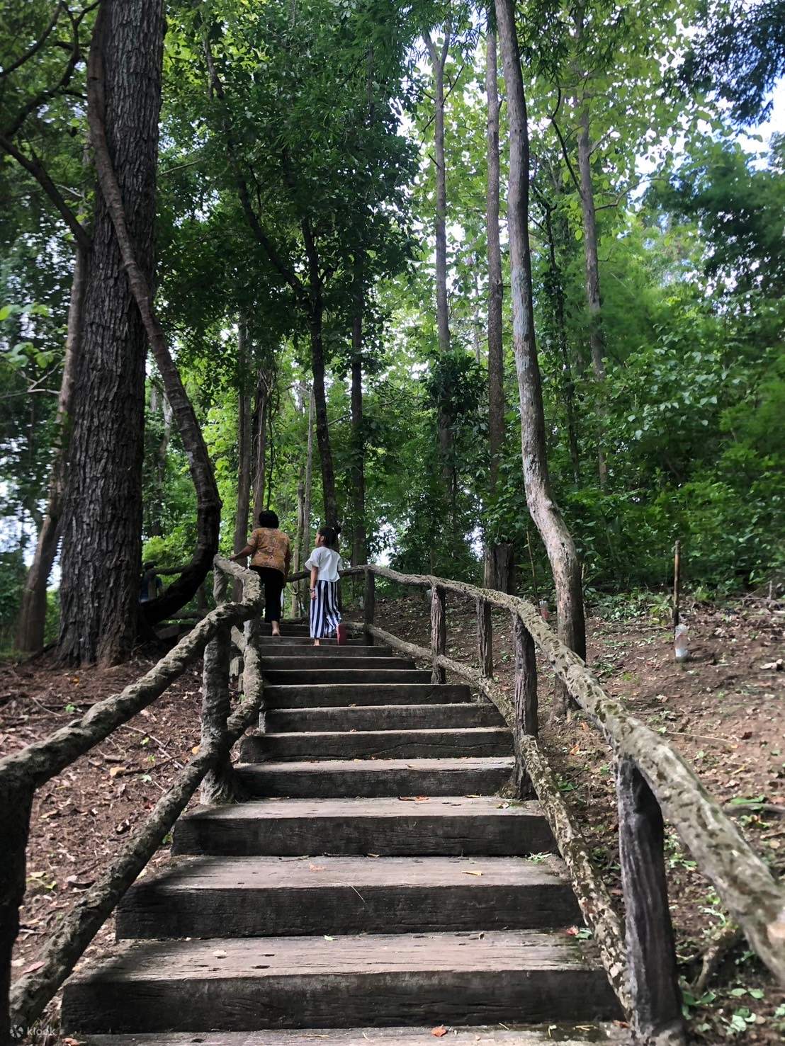 Dantewada Land of Angels & Sticky Waterfall Tour from Chiang Mai ...