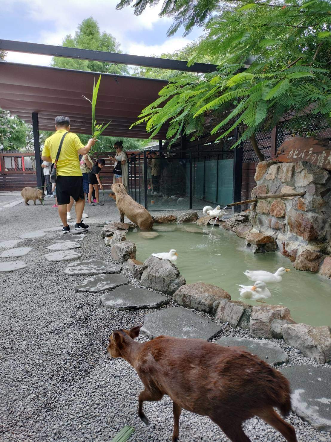Yilan: Carpool One Day Tour - Zhangmei Grandma Farm & Qingshui ...