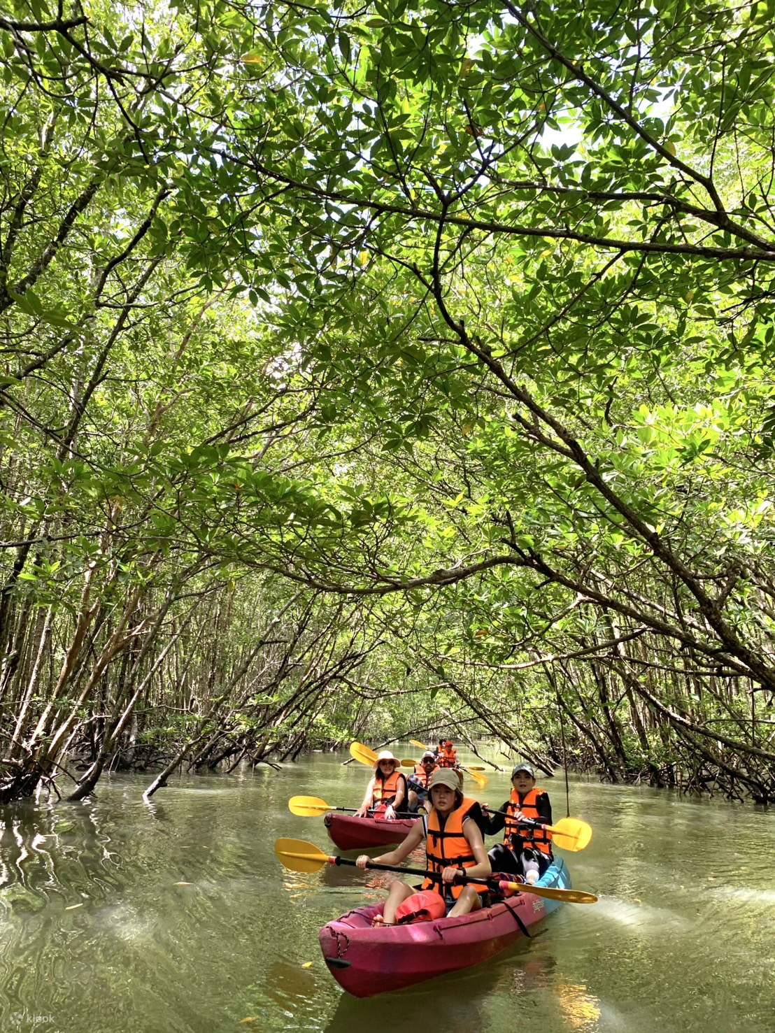 Krabi Jungle ATV Ride & Mangrove Kayak Experience - Klook Estados Unidos