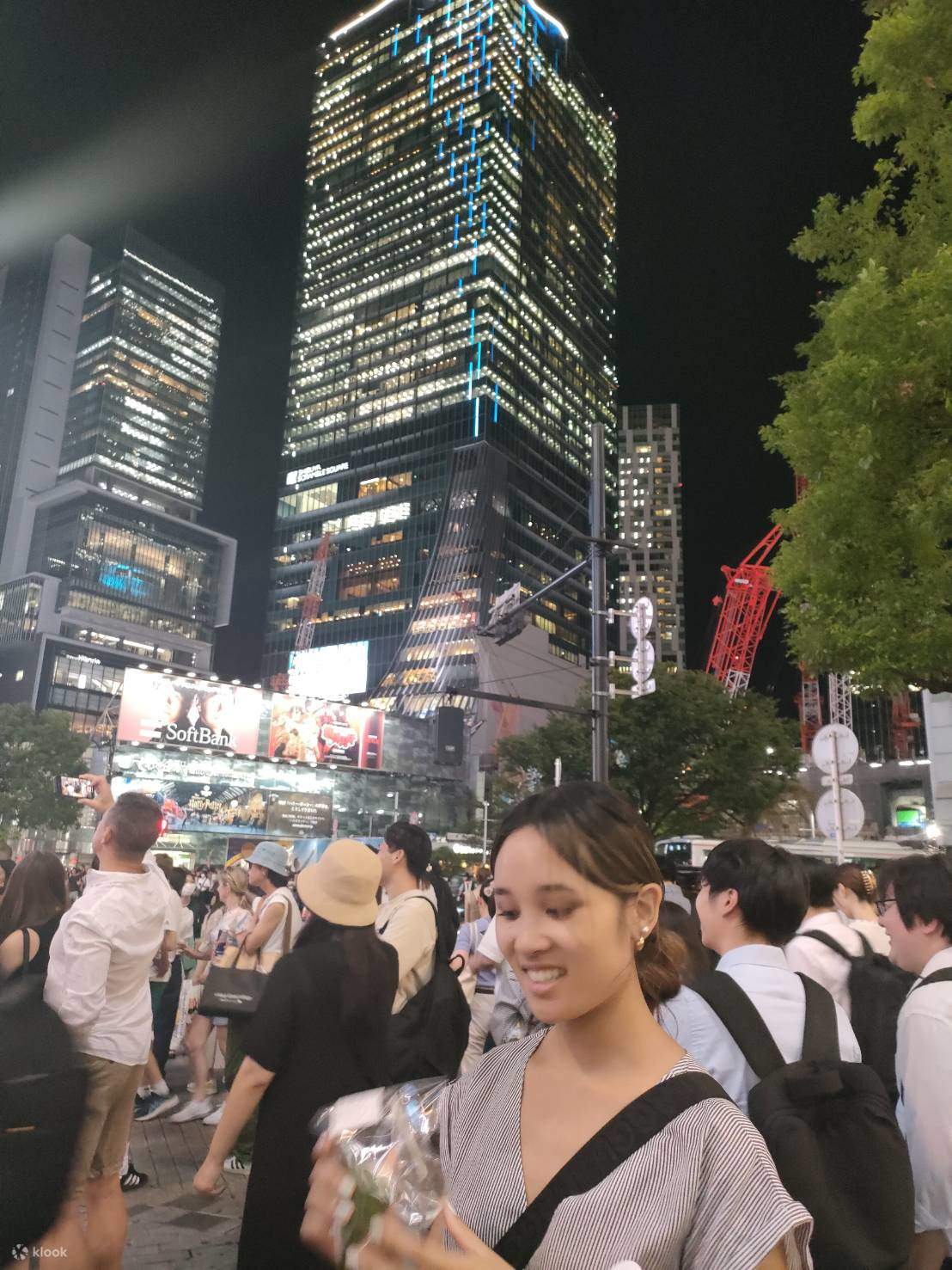 Tokyo Join In 4 hr Walking Tour with Shibuya Best Vegetarian Vegan ...