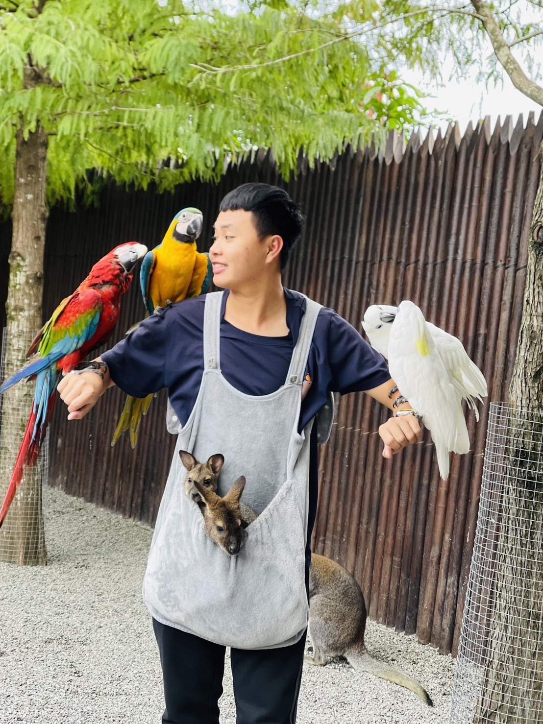 Zhang Mei Ama's Farm Yilan Capybara Ticket - Klook