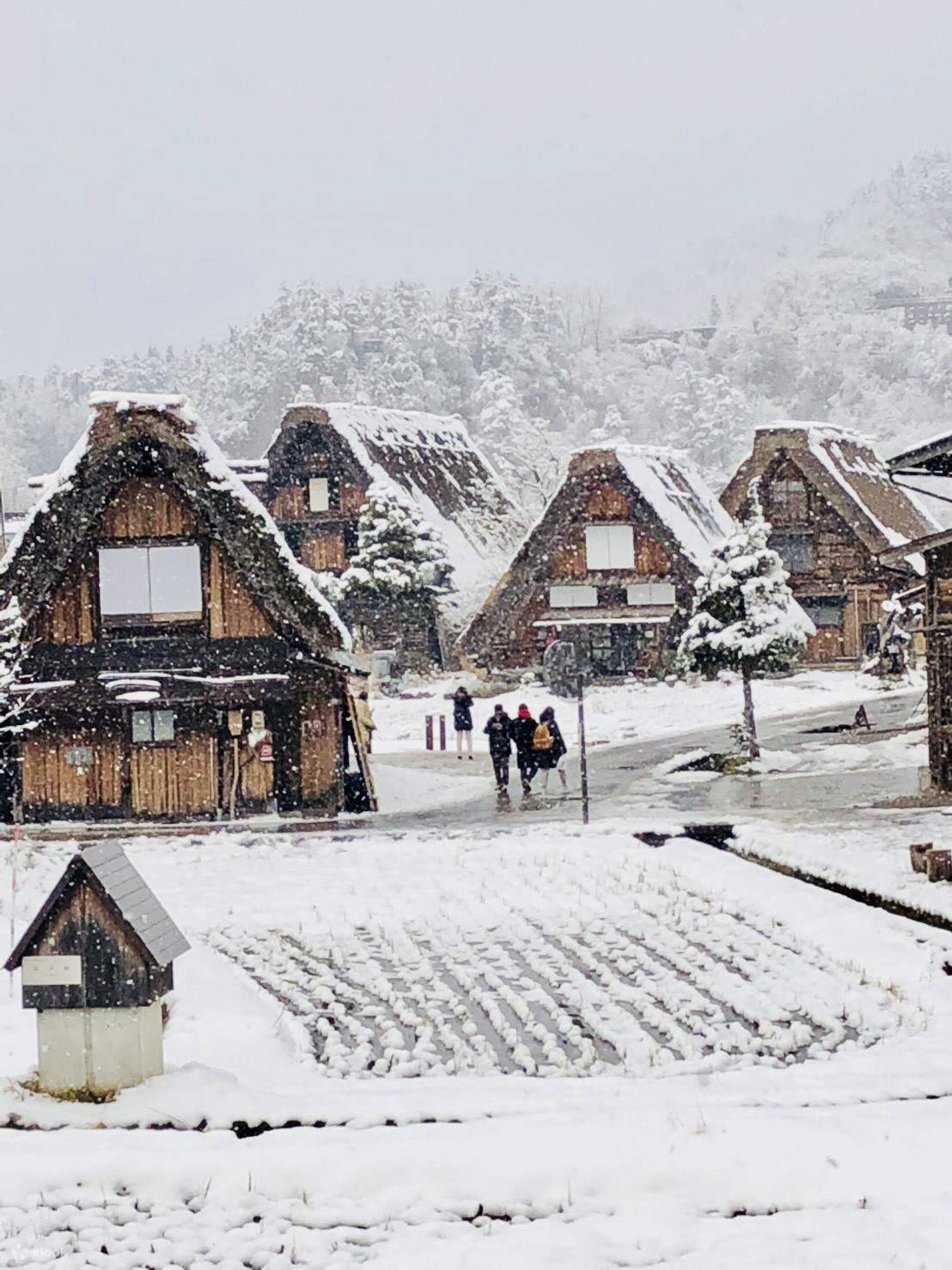 Shirakawa-go Winter Light-Up and Hida Takayama Day Trip Bus Tour (From Nagoya) - Klook Malaysia