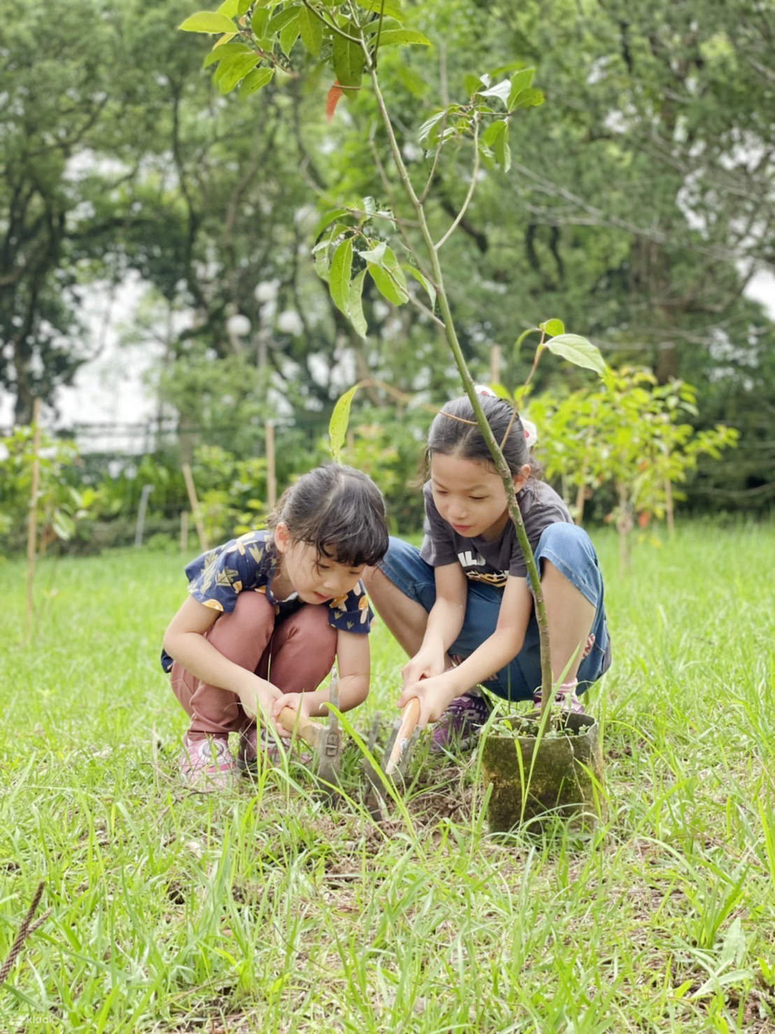 Janfusun Fancyworld TIcket - Klook