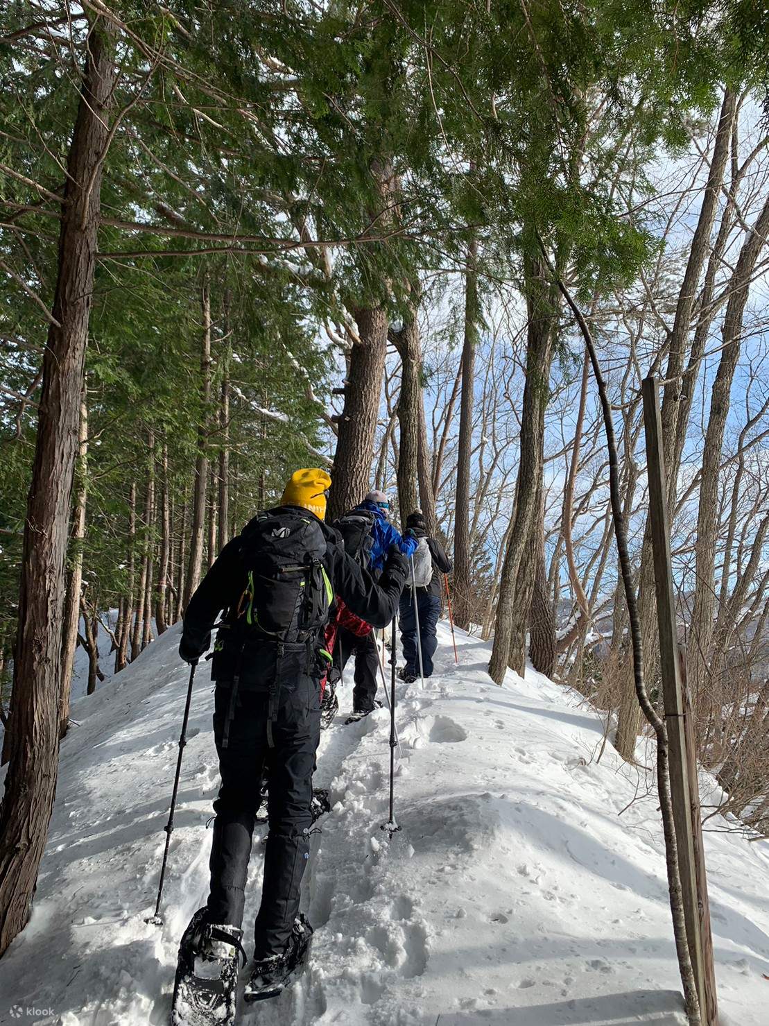 Hakuba Snowshoe Experience - Klook Australia