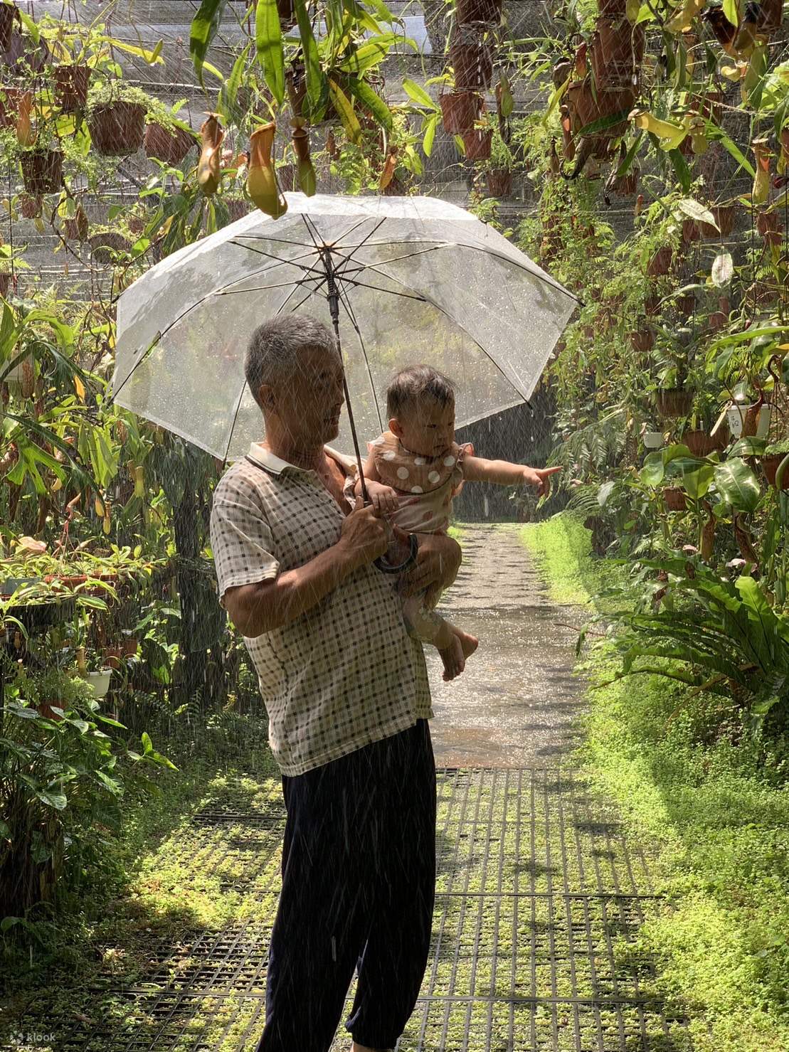 Yilan: Tiket Peternakan Bo & Pengalaman DIY - Klook Indonesia