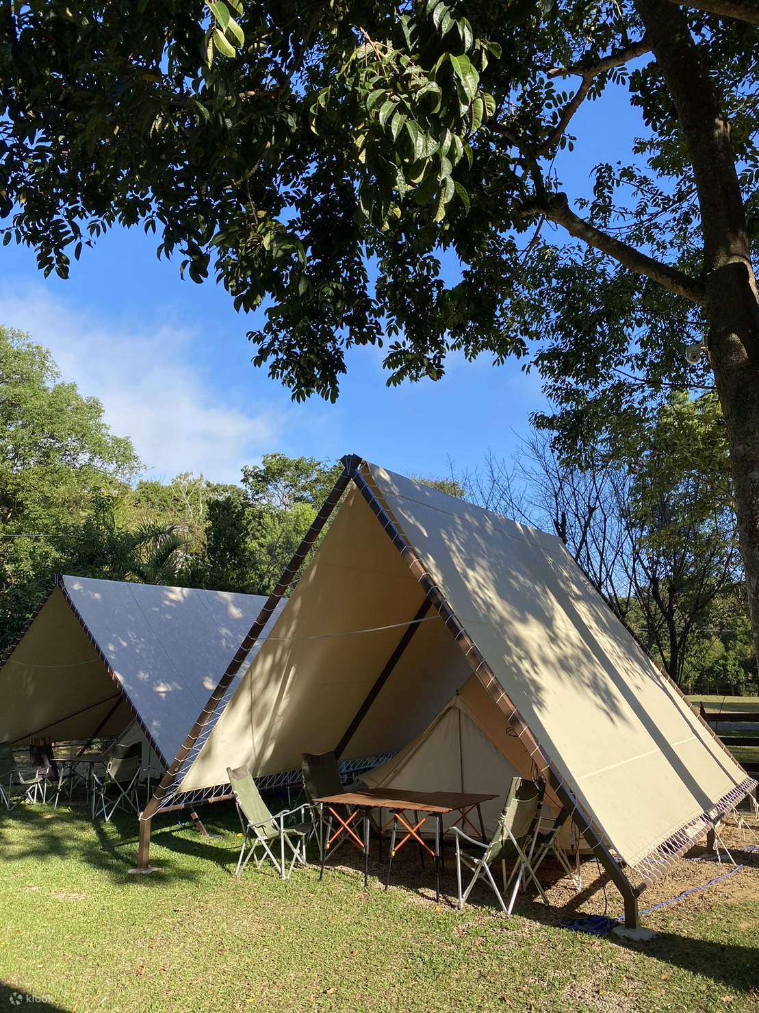 Miaoli: Bell Tent Glamping Experience in Whispering Tree Campground ...