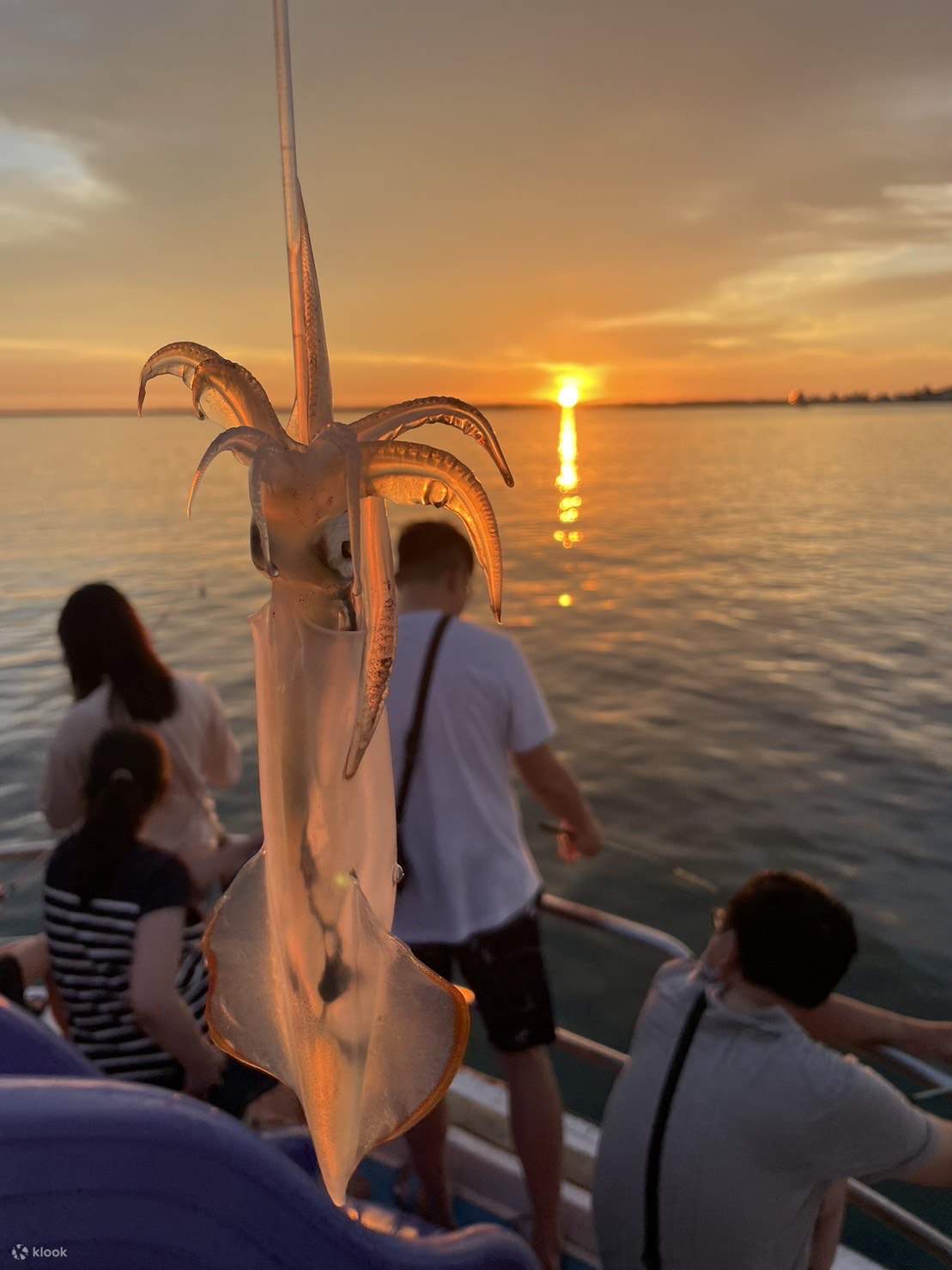 Penghu: Chartered Boat Night Squid Fishing Experience & Three Ways to ...