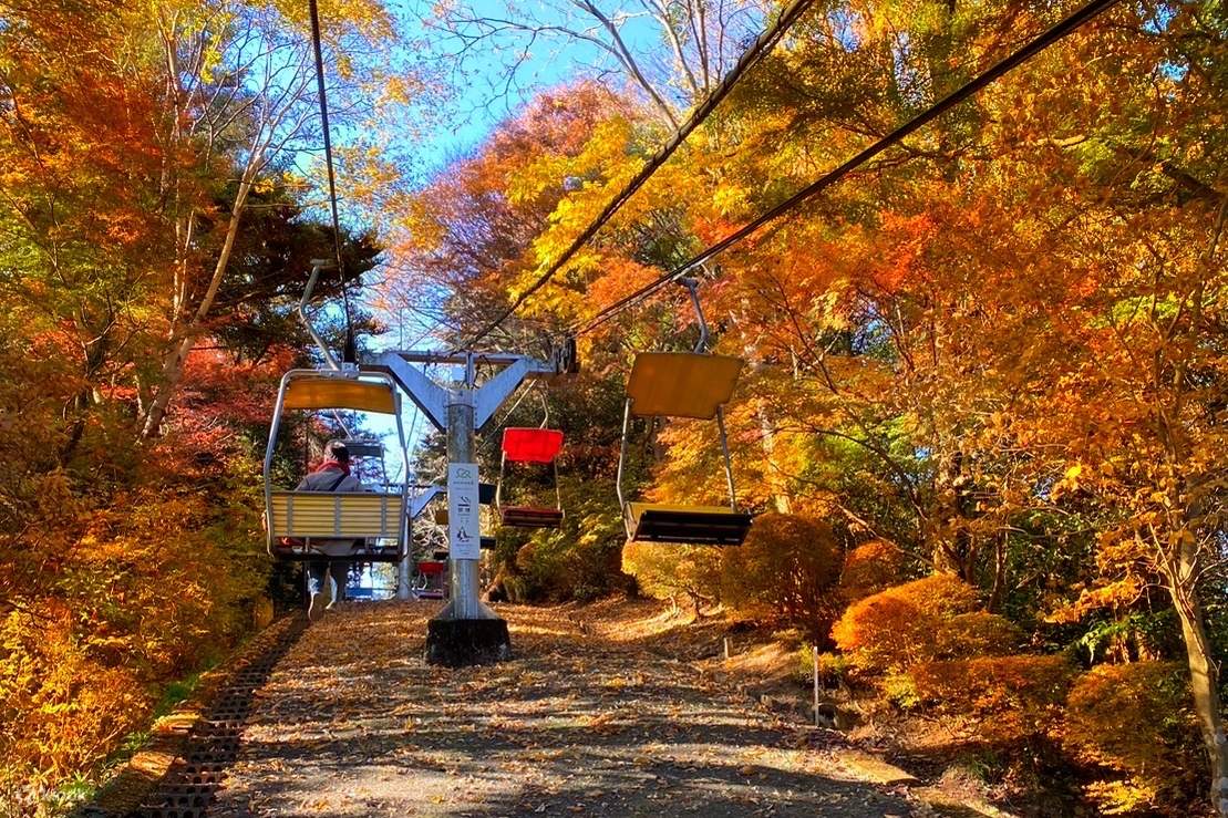 Tokyo City, Mt. Takao One Day Hiking Tour with Autumn Leaves Viewing - Klook Philippines