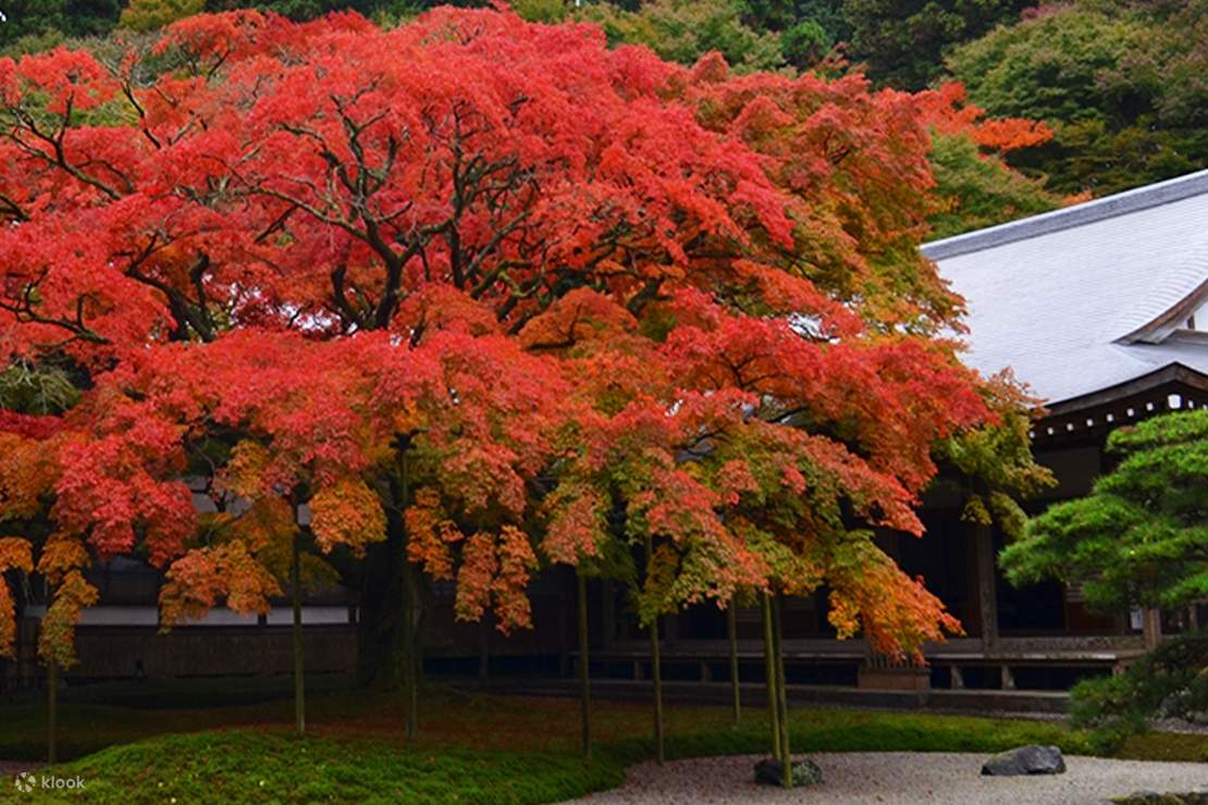 Raizan Senjoji Temple, Ichiran Forest, Sakurai Futamigaura, Meotoiwa ...