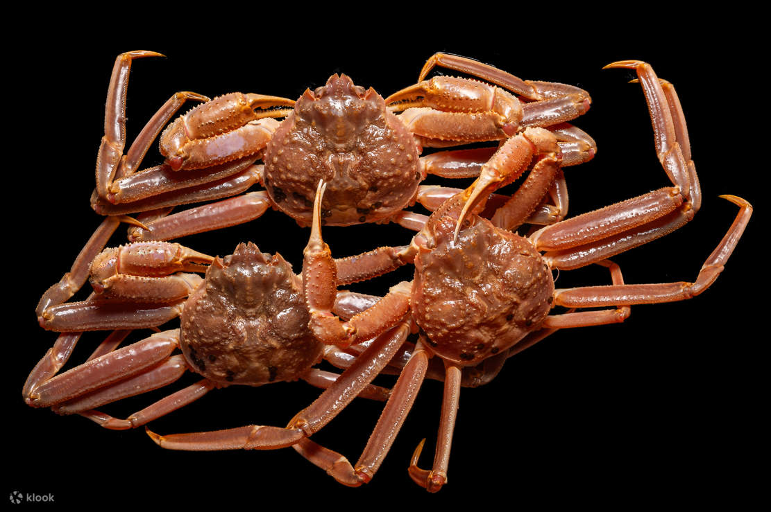 Crab King House | Live Crab Dishes | OCT Tower - Klook