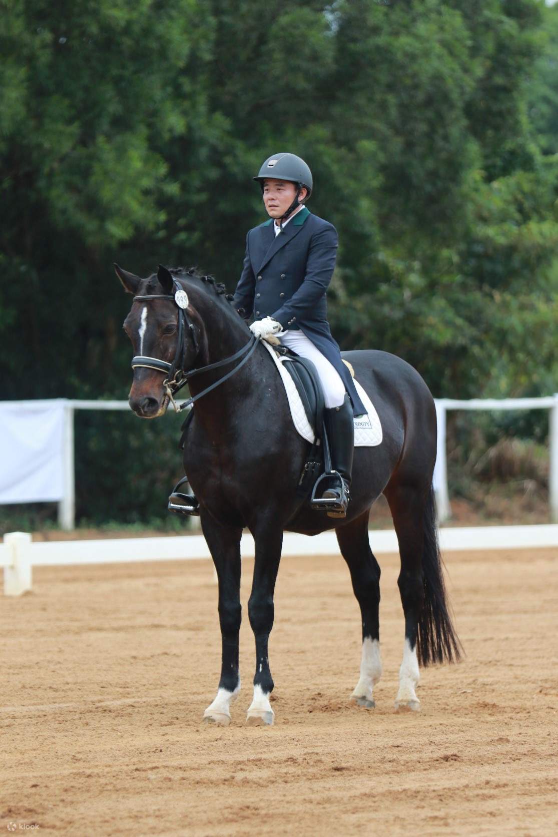 New Taipei: Equestrian Experience Course - Klook