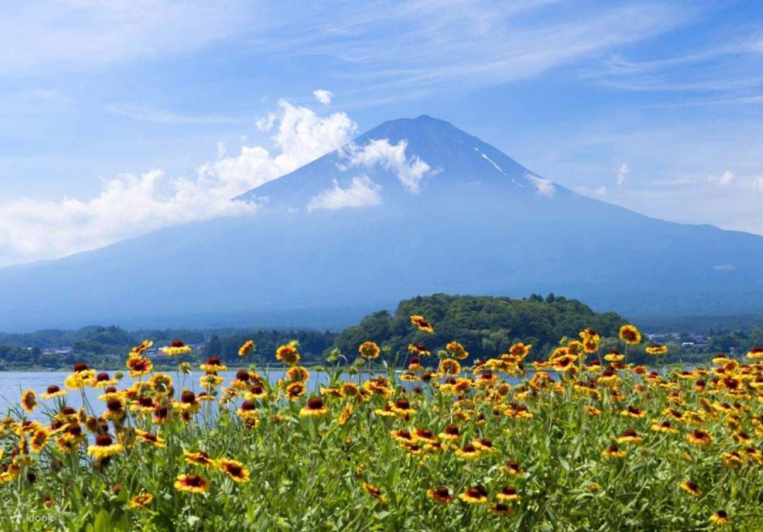 Mount Fuji Internet celebrity attractions: Kawaguchiko Matcha ...