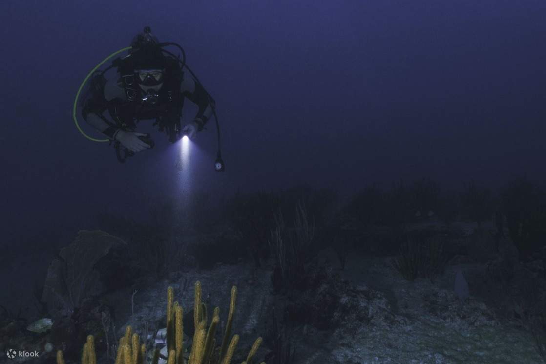 Night Dive Experience in Oahu - Klook Australia