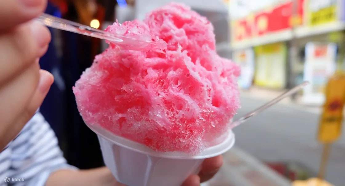 Osaka Private Half Day Food Tour - Klook Australia