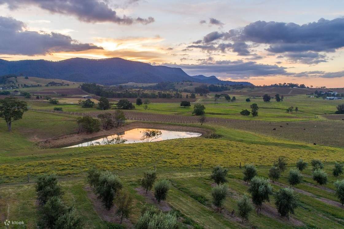 Bonvilla Estate Winery Wine Tasting in Hunter Valley - Klook Malaysia