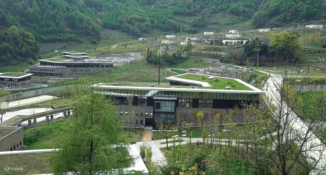 Wolong Shenshuping Panda Base One-Day Tour/Chartered Private Tour ...