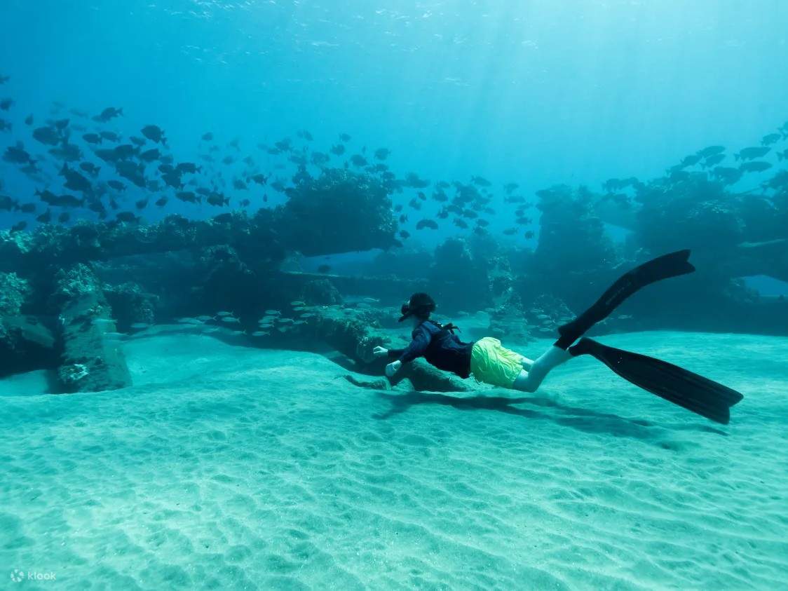 Turtle Town Snorkel Experience from Maalaea Harbor by Quicksilver - Klook Singapore