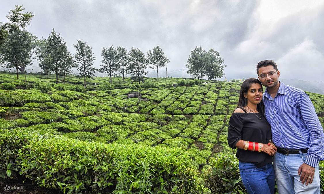 Private Photoshoot Experience in Coorg - Klook