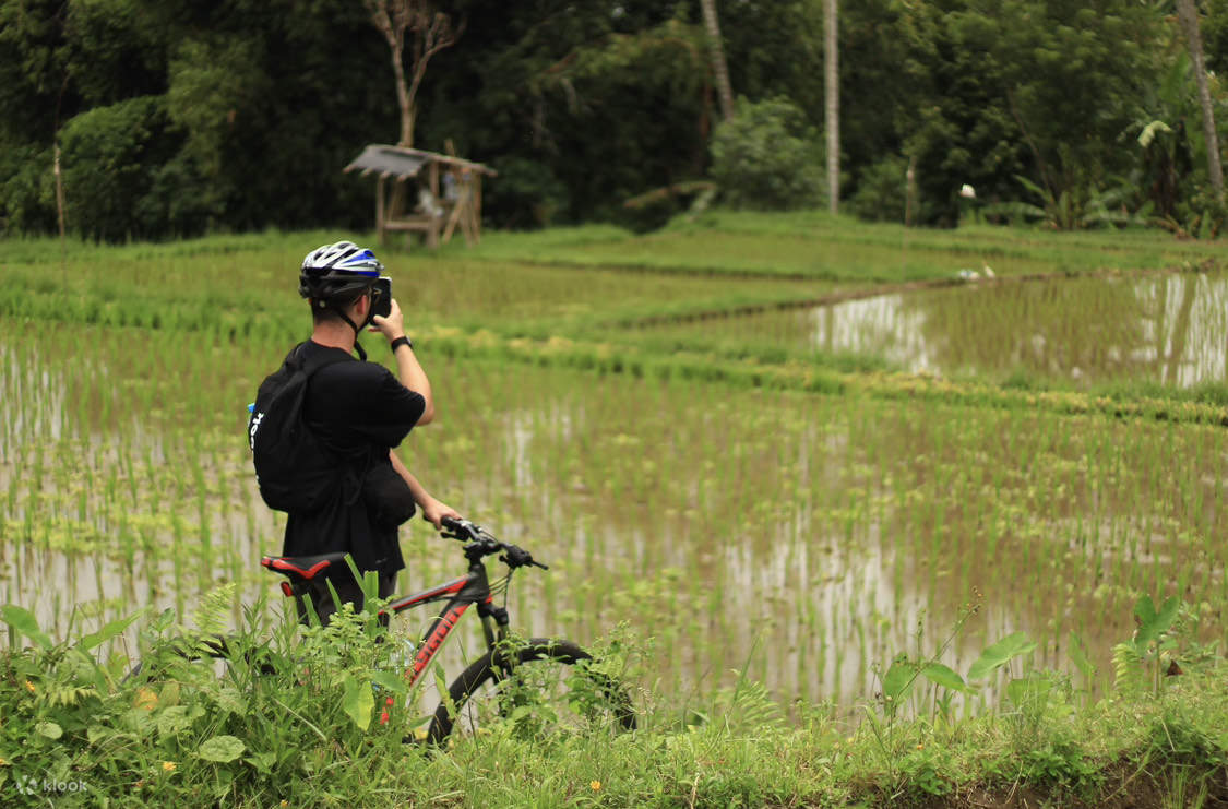 Cycling Tour in Ubud - Klook