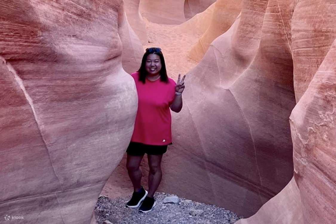 Tour in autobus di un giorno da Las Vegas alla Valley of Fire e alle ...
