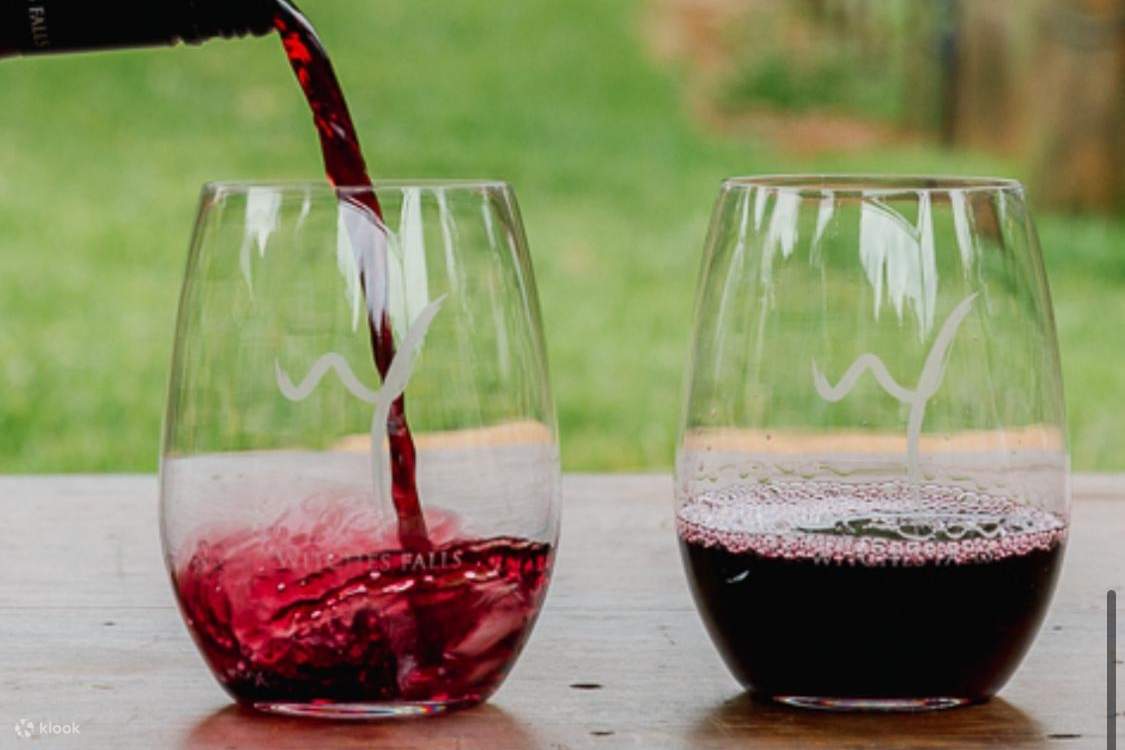 Wine Tasting, BBQ Dinner and Stargazing at Tamborine Mountain - Klook ...