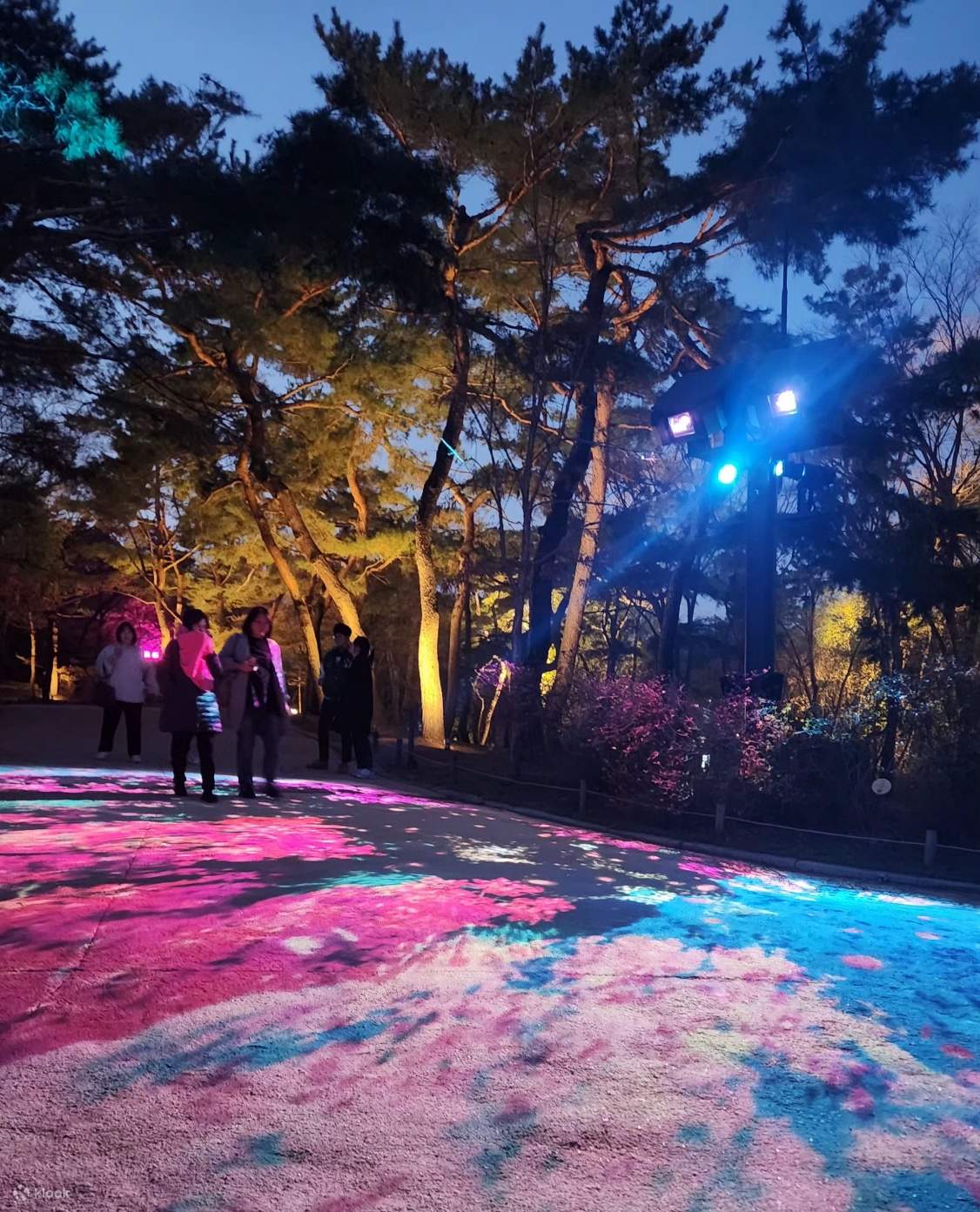 Quaint Changgyeonggung Palace Night Tour - Klook Singapore