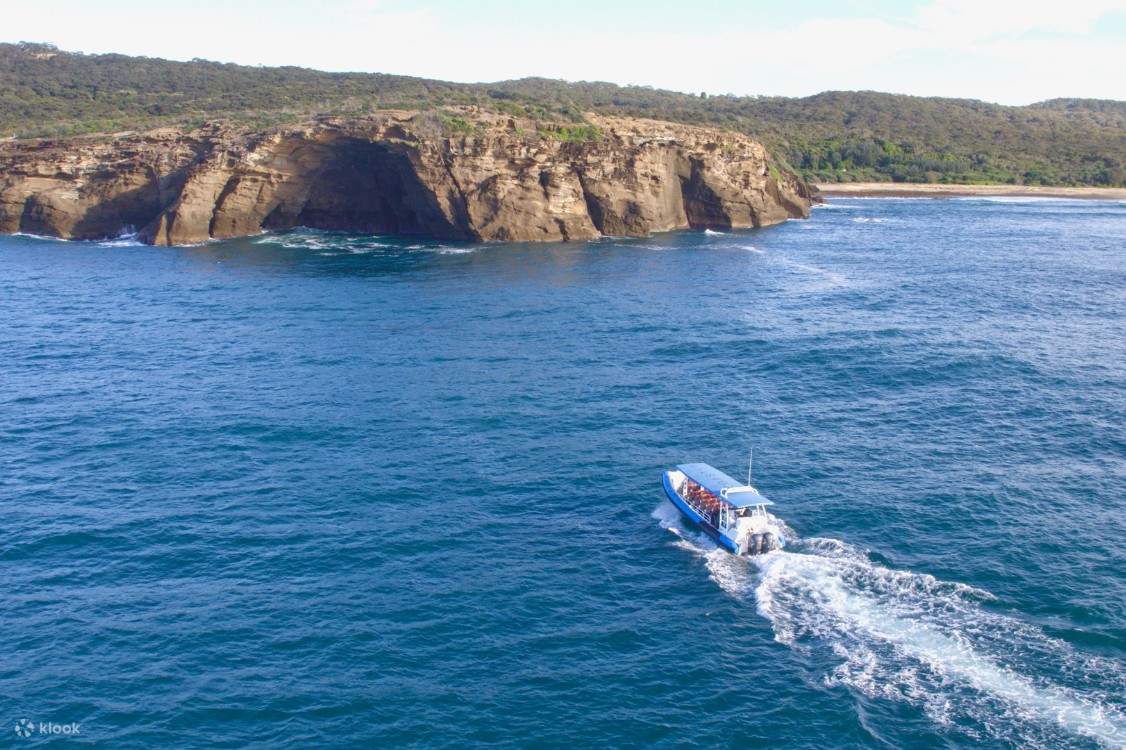 Newcastle Adventure Cruise to Caves Beach and Catherine Hill Bay ...