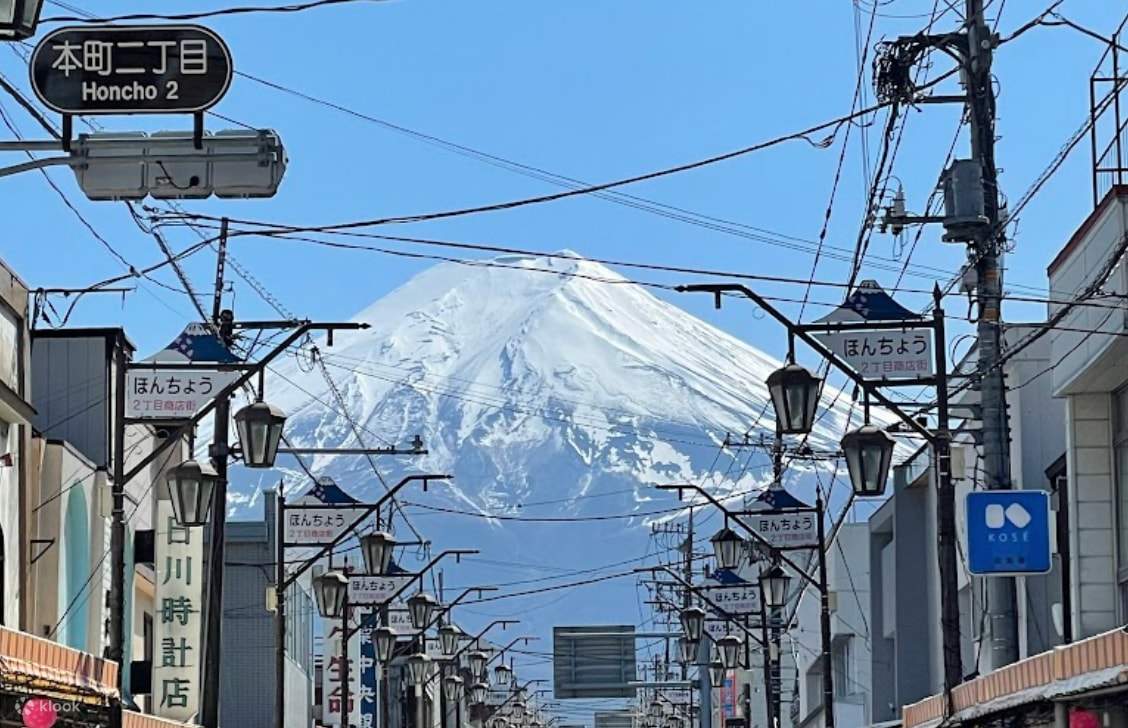 [Must-see Mount Fuji + Popular Check-in Spots] One-day Tour of Flower ...