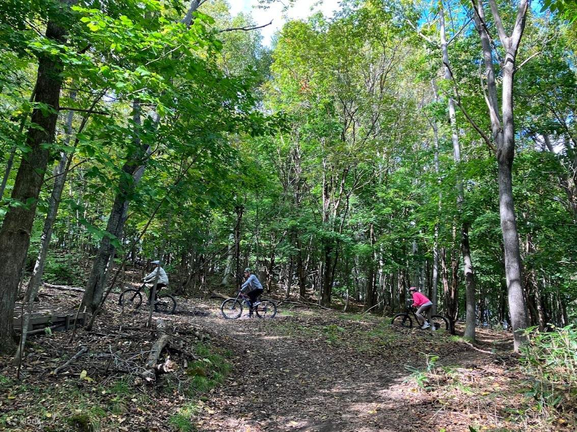 Bike Park & Mountain Biking in Sapporo Join In Half Day Bike Tour - Klook