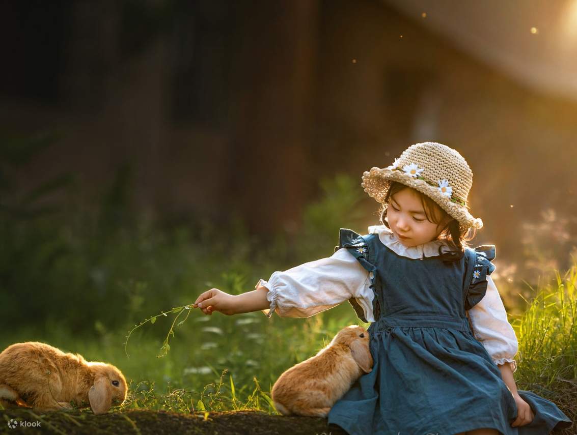 Hainan Lingshui Locean Serenity Home 1/2 Day Tour: Befriend a World ...