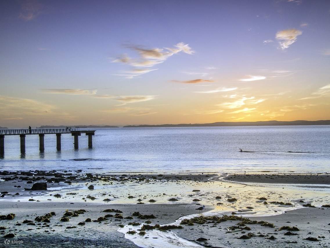 Auckland Half Day Tour Through Urban Wonders - Klook Estados Unidos