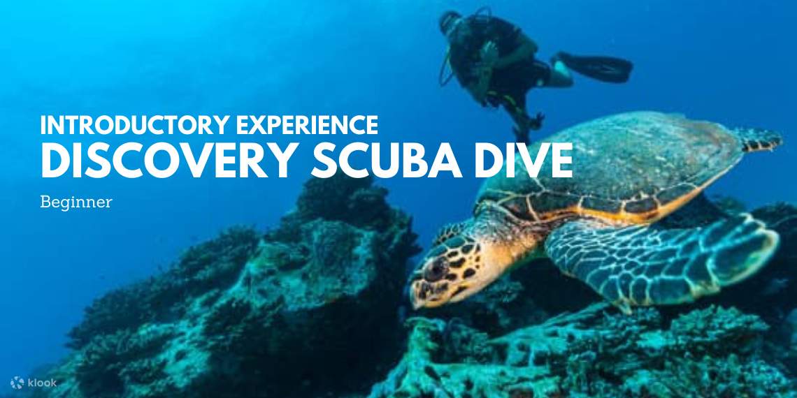 Explore the Underwater World: PADI Discover Scuba Diving in Kota ...