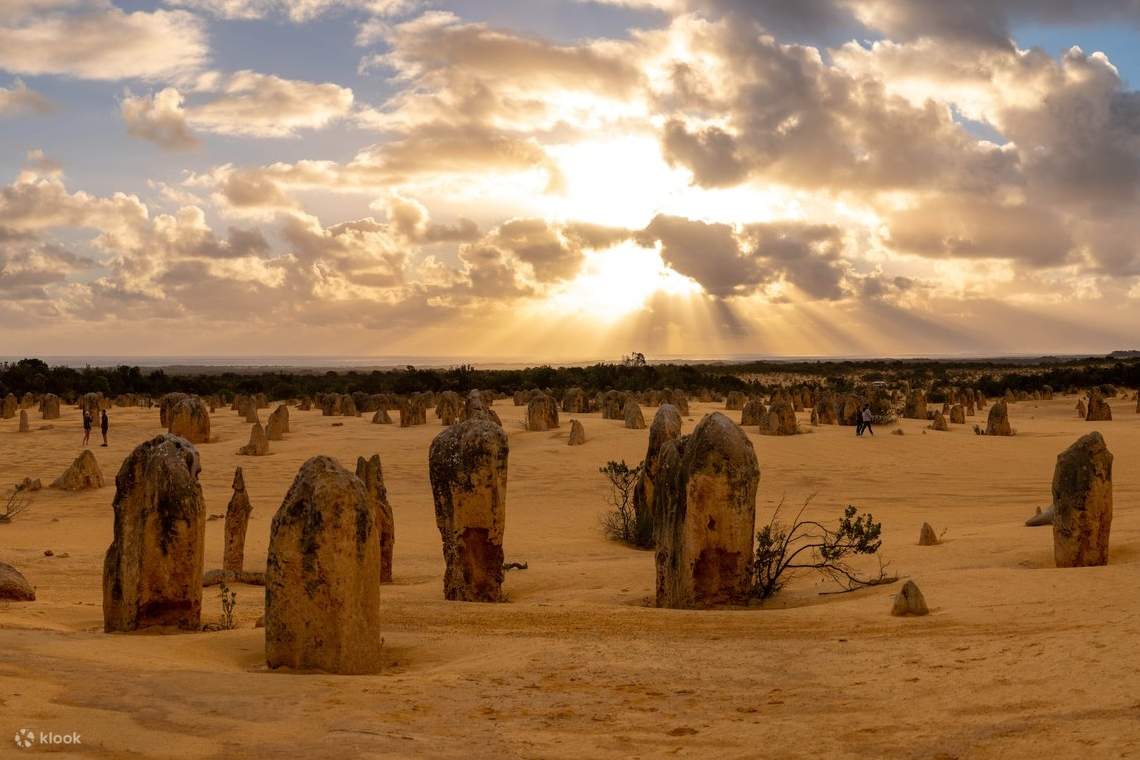 Tour nel deserto dei Pinnacoli da Perth - Klook Stati Uniti