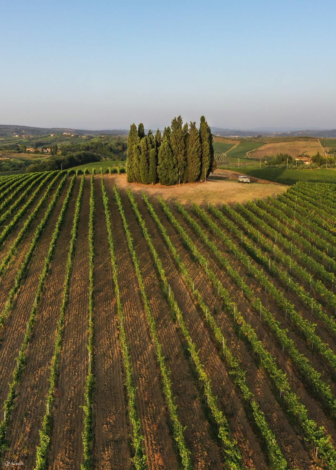Exquisite Wine Tasting in the Heart of the Tuscan Countryside - Klook ...