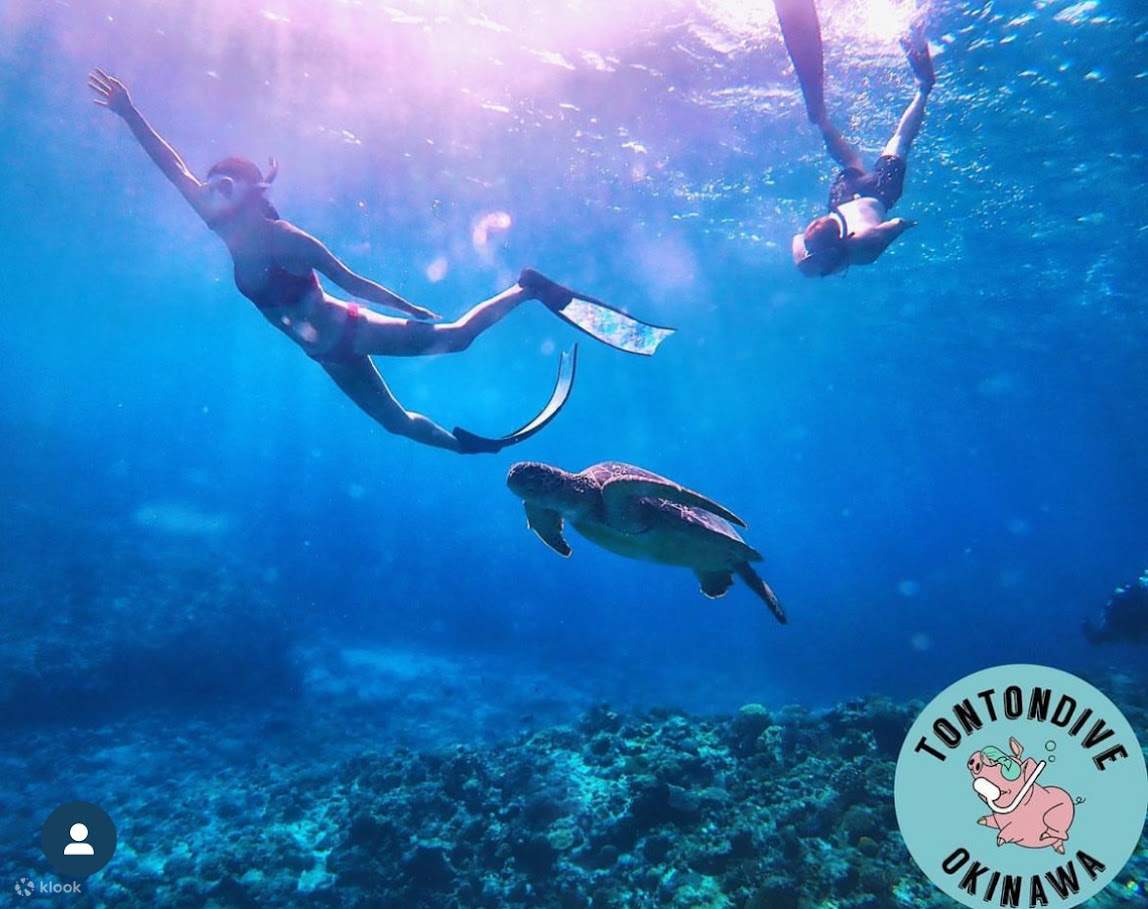 High Chance to See Sea Turtles – Skin Diving at Nakayukui Point, Onn ...