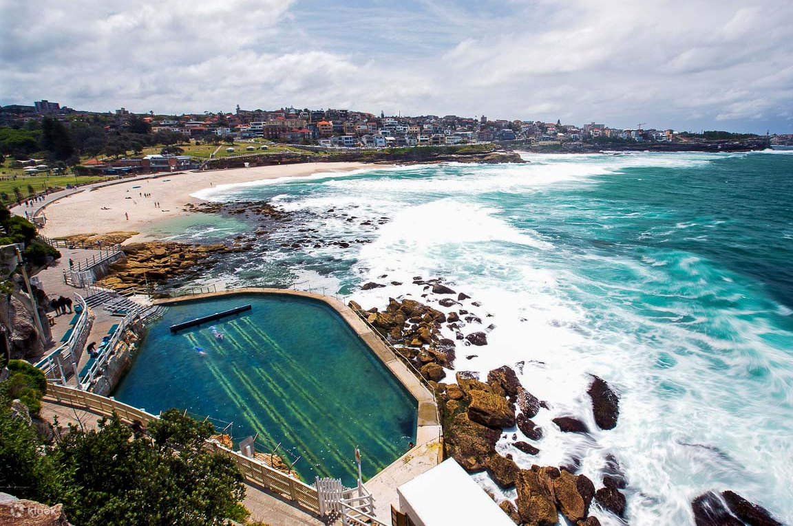 Sydney Beaches, Baths and Rockpools Private Tour - Klook