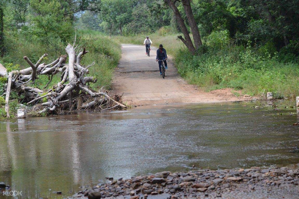 [SALE] Weekend Cycling Tour to Bheemeshwari through Muthathi Forest ...