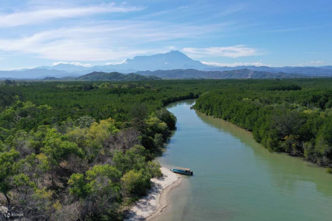 Mangrove Kayaking Serusup Tuaran Sunset and Sunrise Tour Kayaking Tour ...