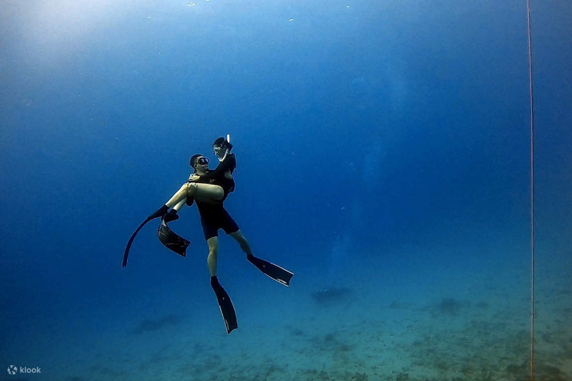 New Taipei Gongliao Longdong Diving OW・AOW Certification・Freediving ...
