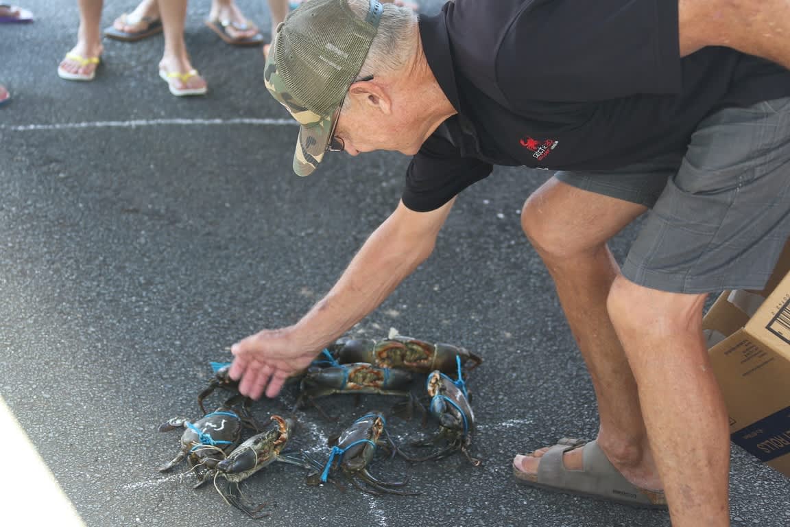 Tweed River Catch A Crab Tour from Gold Coast, Australia - Klook Singapore