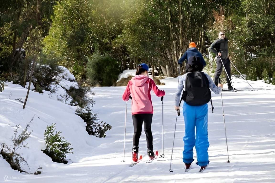 Lake Mountain Snow Tour From Melbourne - Klook Stati Uniti