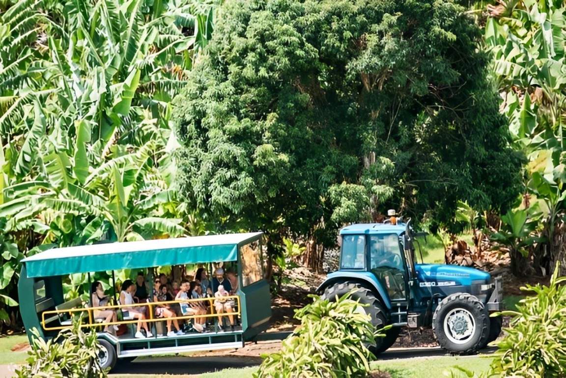 Tropical Fruit World and Point Danger One Day Tour - Klook Philippines
